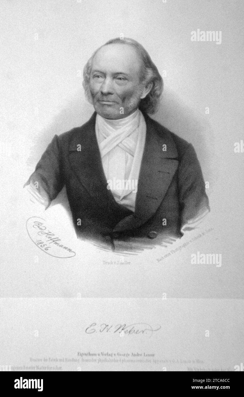 Ernst weber hi-res stock photography and images - Alamy