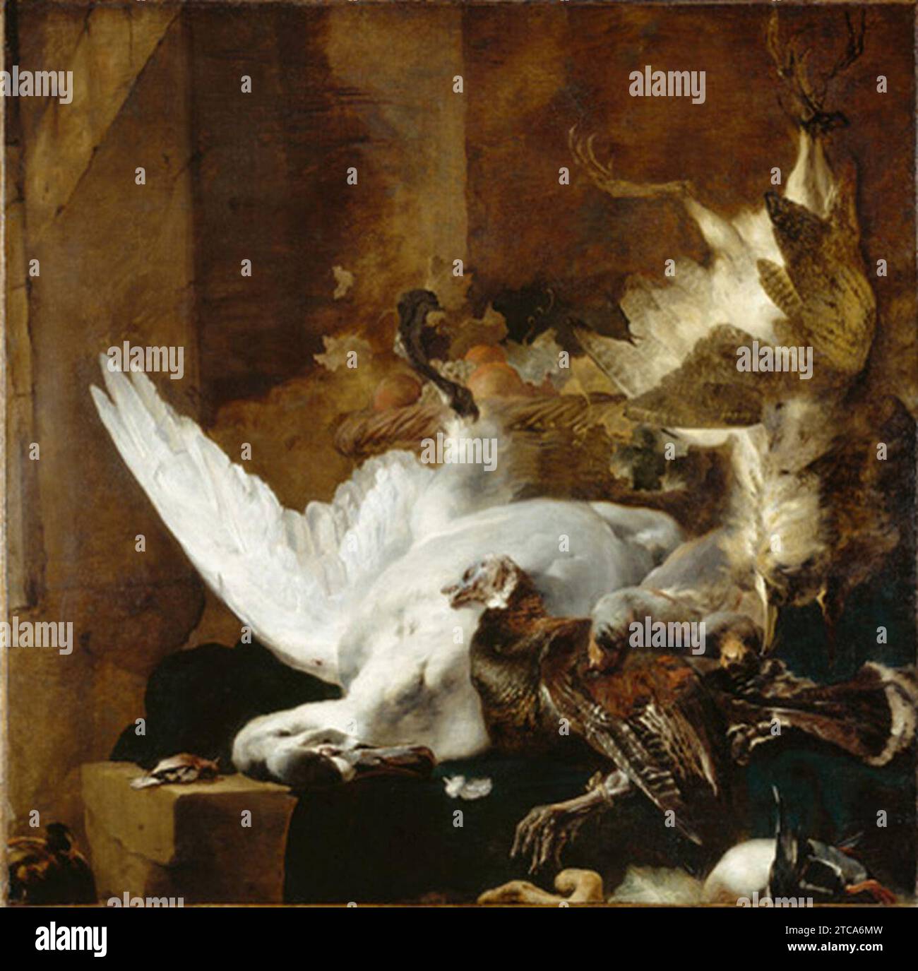 Jan Baptist Weenix - Still Life with a Dead Swan Stock Photo - Alamy