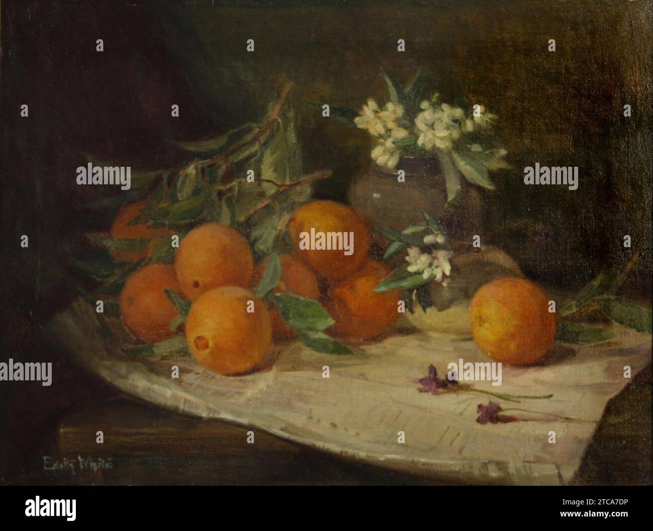 Still life painting with navel oranges by Edith White Stock Photo - Alamy