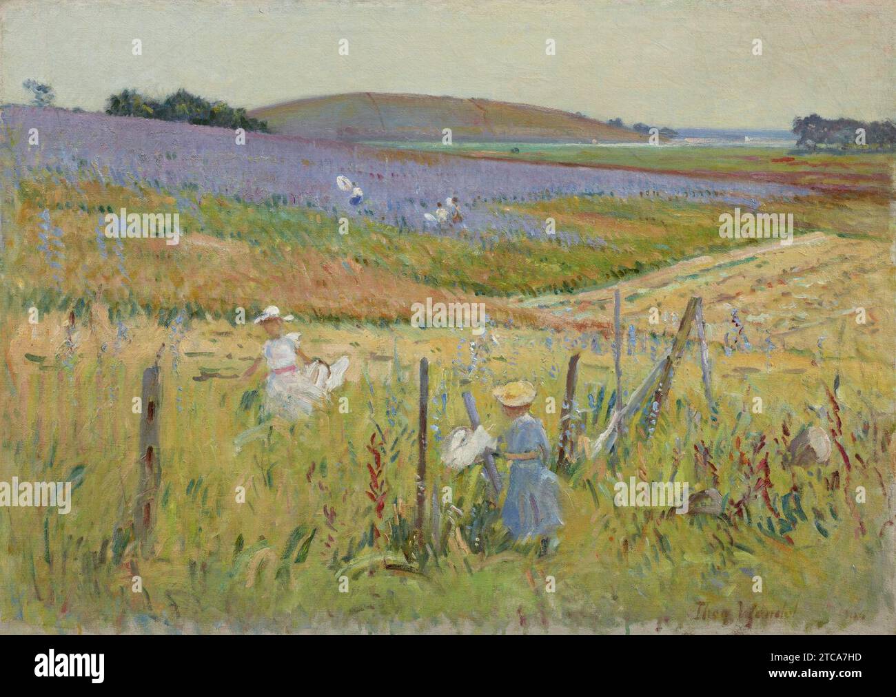 The butterfly catchers hi-res stock photography and images - Alamy