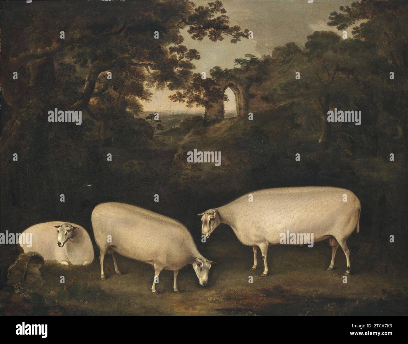 Three prize sheep in an extensive landscape, a ruin beyond by Thomas ...