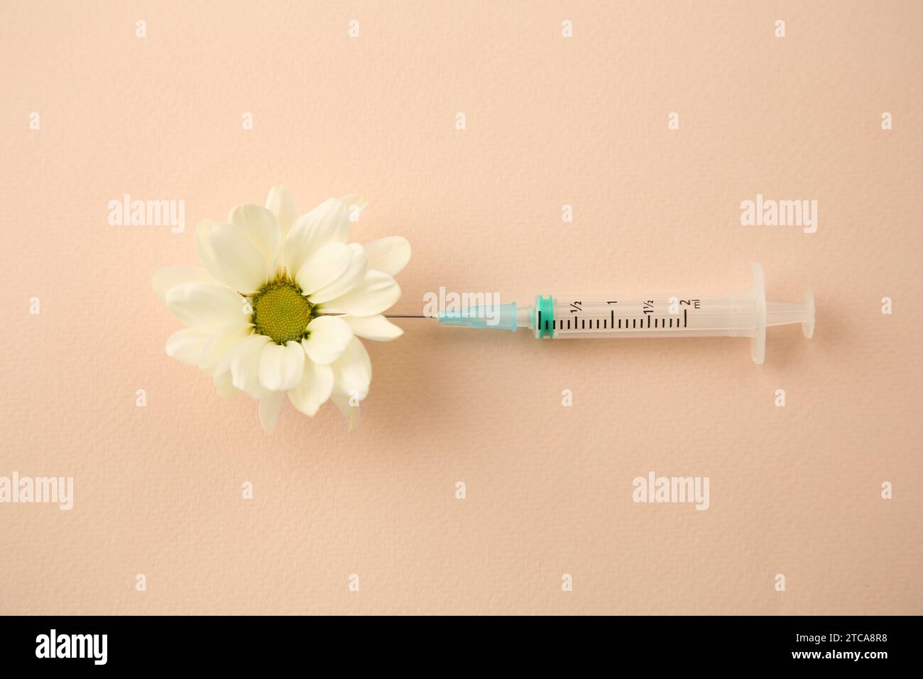 Medical syringe and beautiful chrysanthemum flower on beige background ...