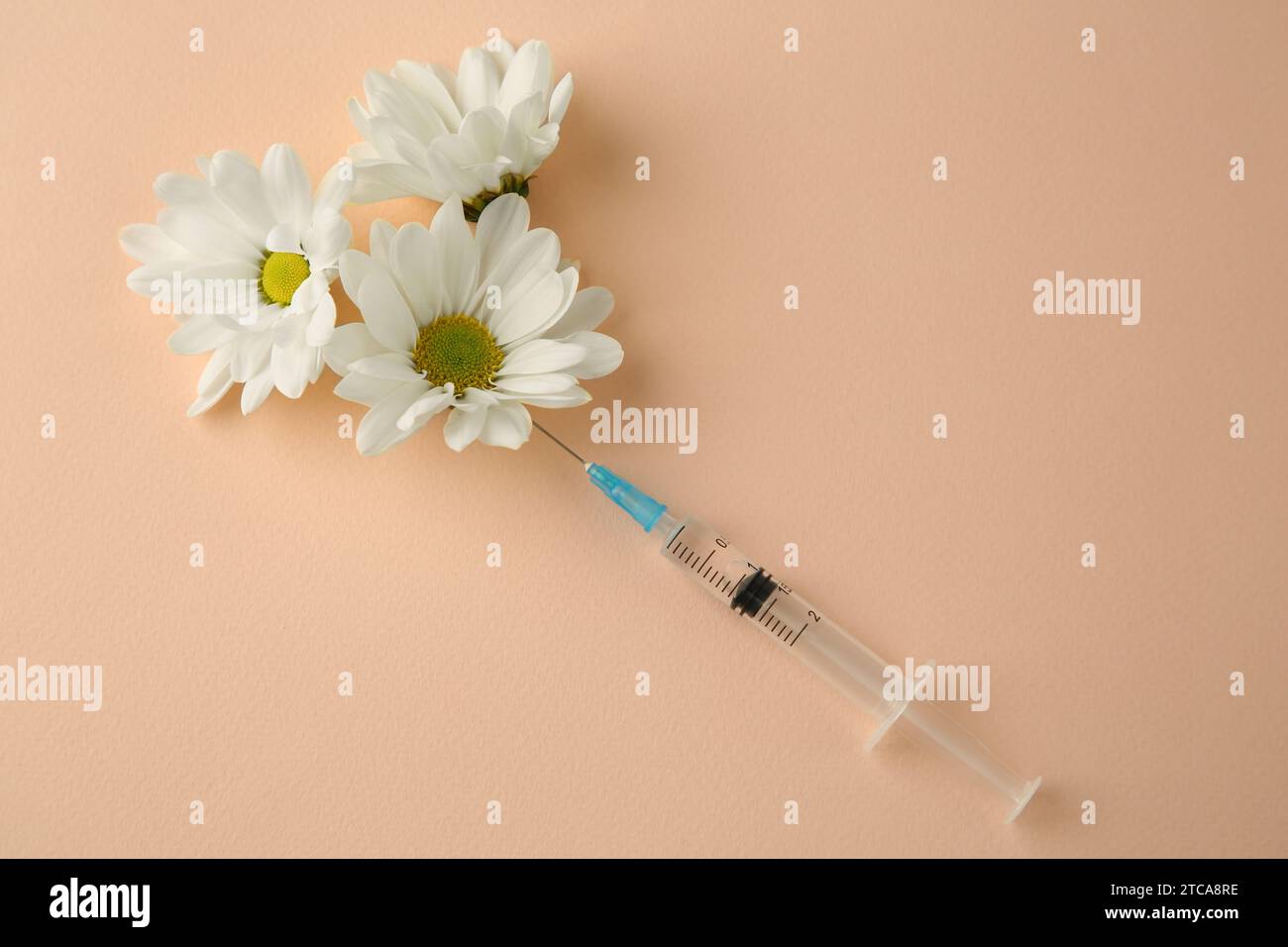 Medical syringe and beautiful chrysanthemum flowers on beige background ...