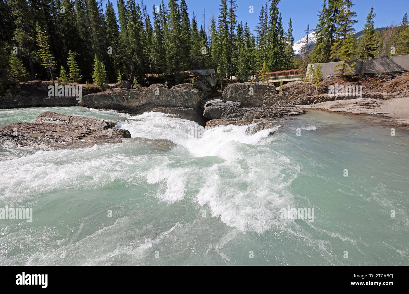 Pounding water kicking horse hi-res stock photography and images - Alamy