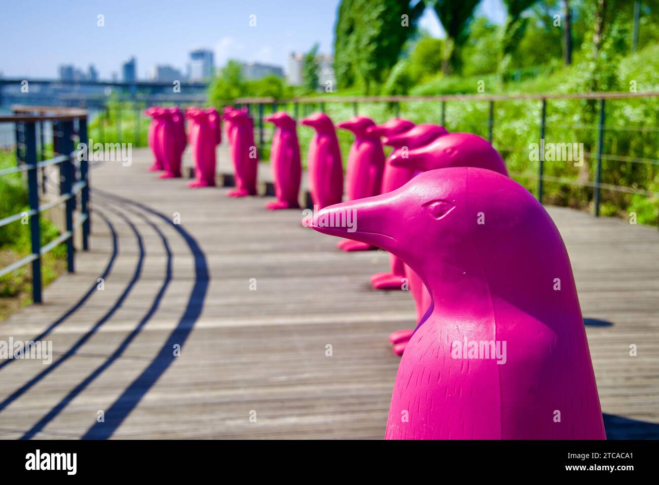 The whimsical pink penguins from Hangang Art Park’s ‘Cracking Art ...