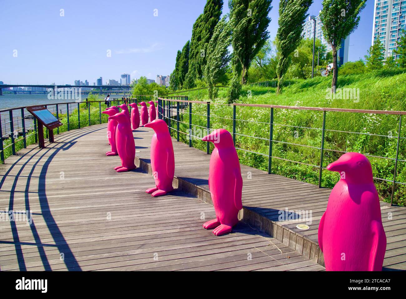 In a wide-angle shot, meter-tall pink penguins from Hangang Art Park's ...