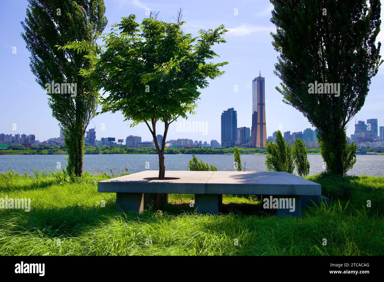 In Hangang Art Park's 'A Contemplative Void', a tree majestically rises ...