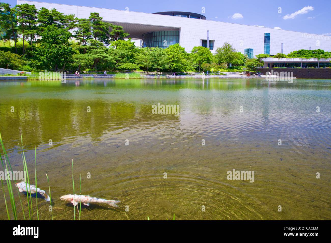 Koi water feature hi-res stock photography and images - Alamy