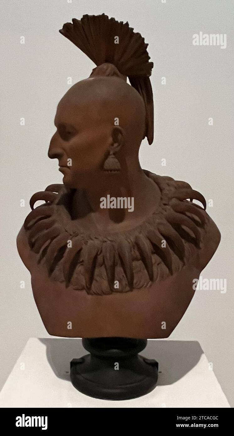 Fox tribe hi-res stock photography and images - Alamy