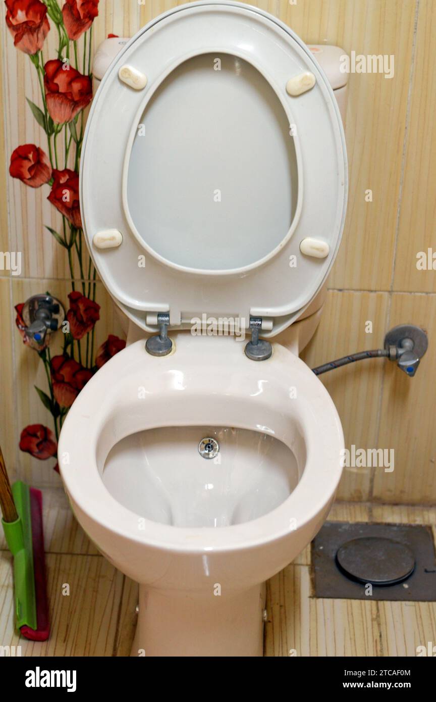 Toilet, a piece of sanitary hardware that collects human urine and ... Toilet, a piece of sanitary hardware that collects human urine and ...