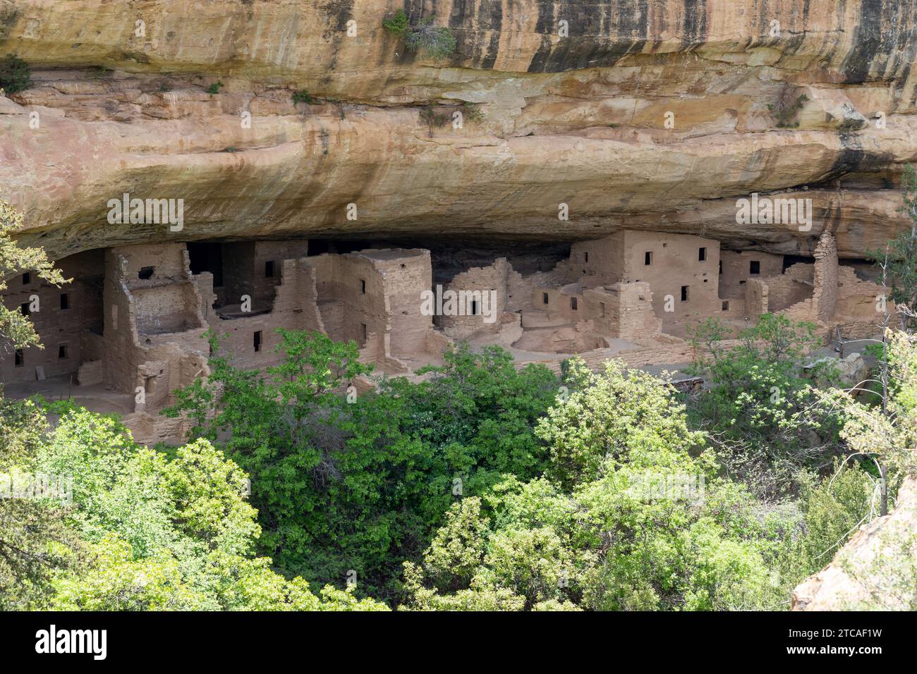 Spruce Tree House at Mesa Verde National Park in Colorado, USA Stock ...