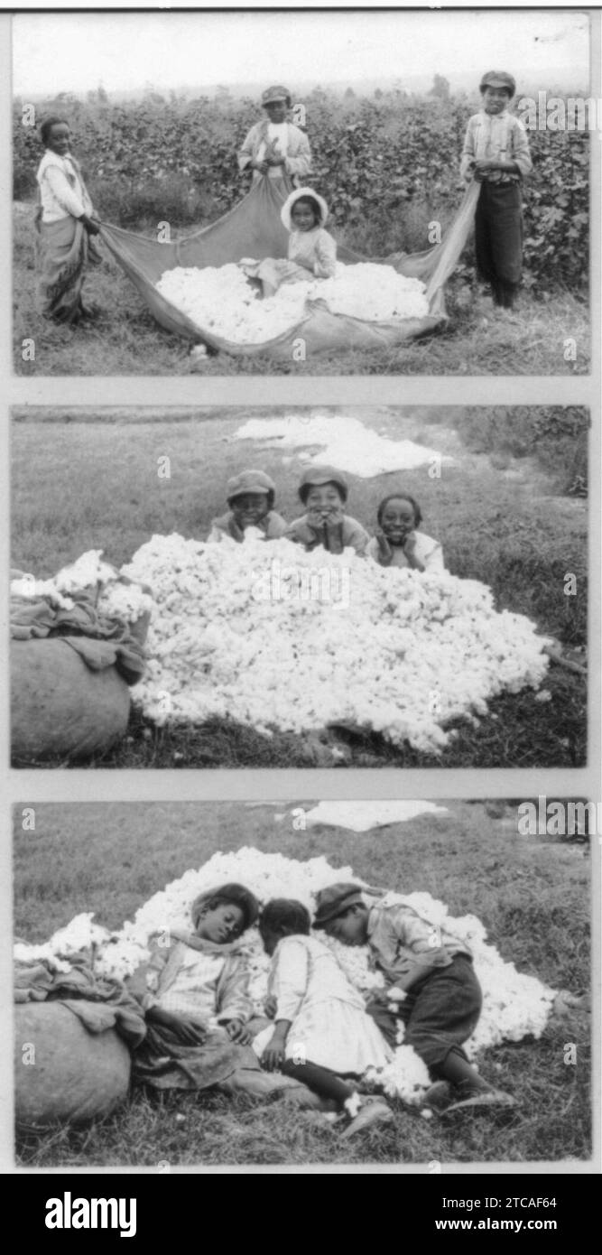 Weighing cotton, Sunny South, Working hours Stock Photo - Alamy