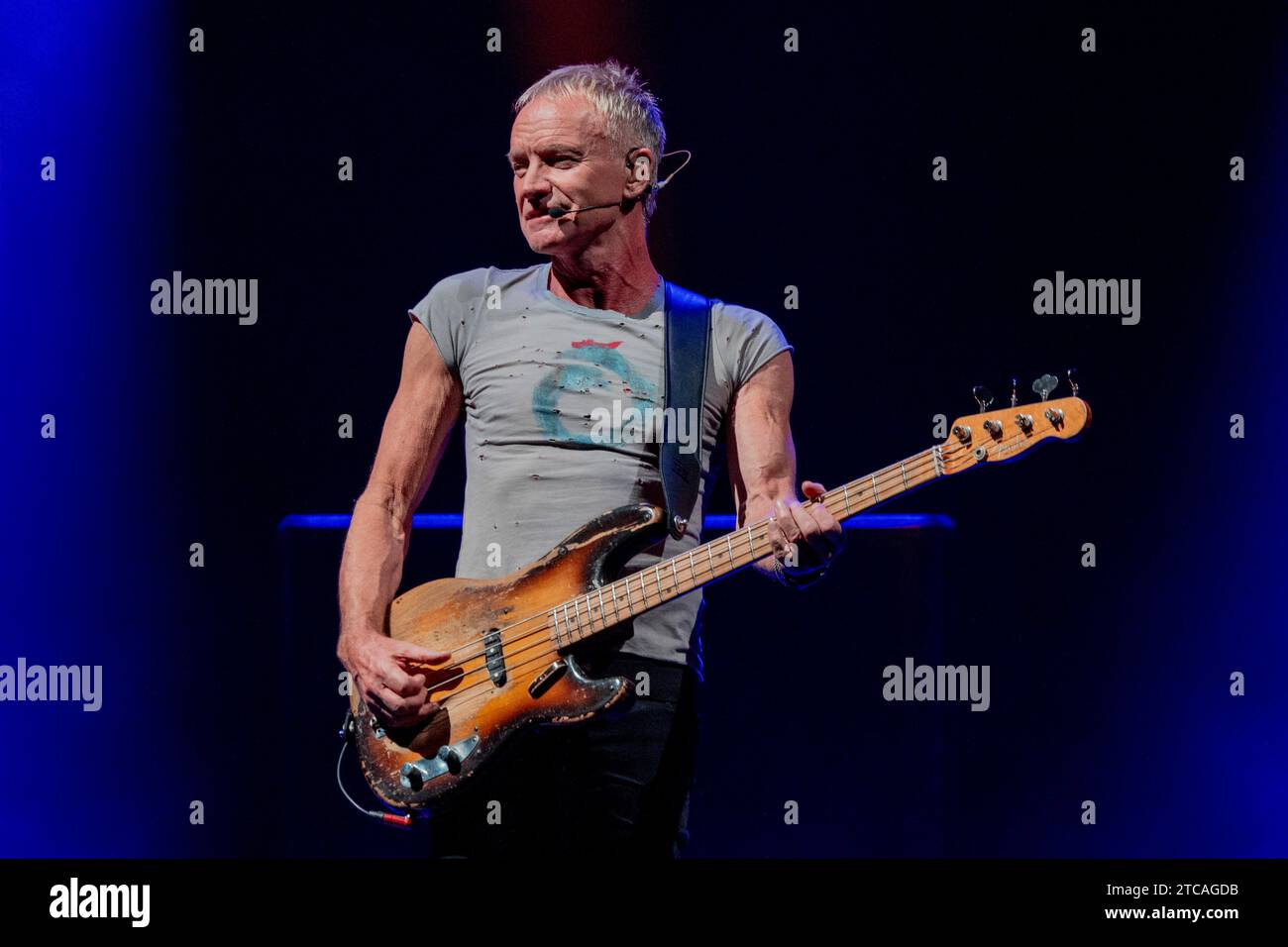 Sting primo piano hi-res stock photography and images - Alamy