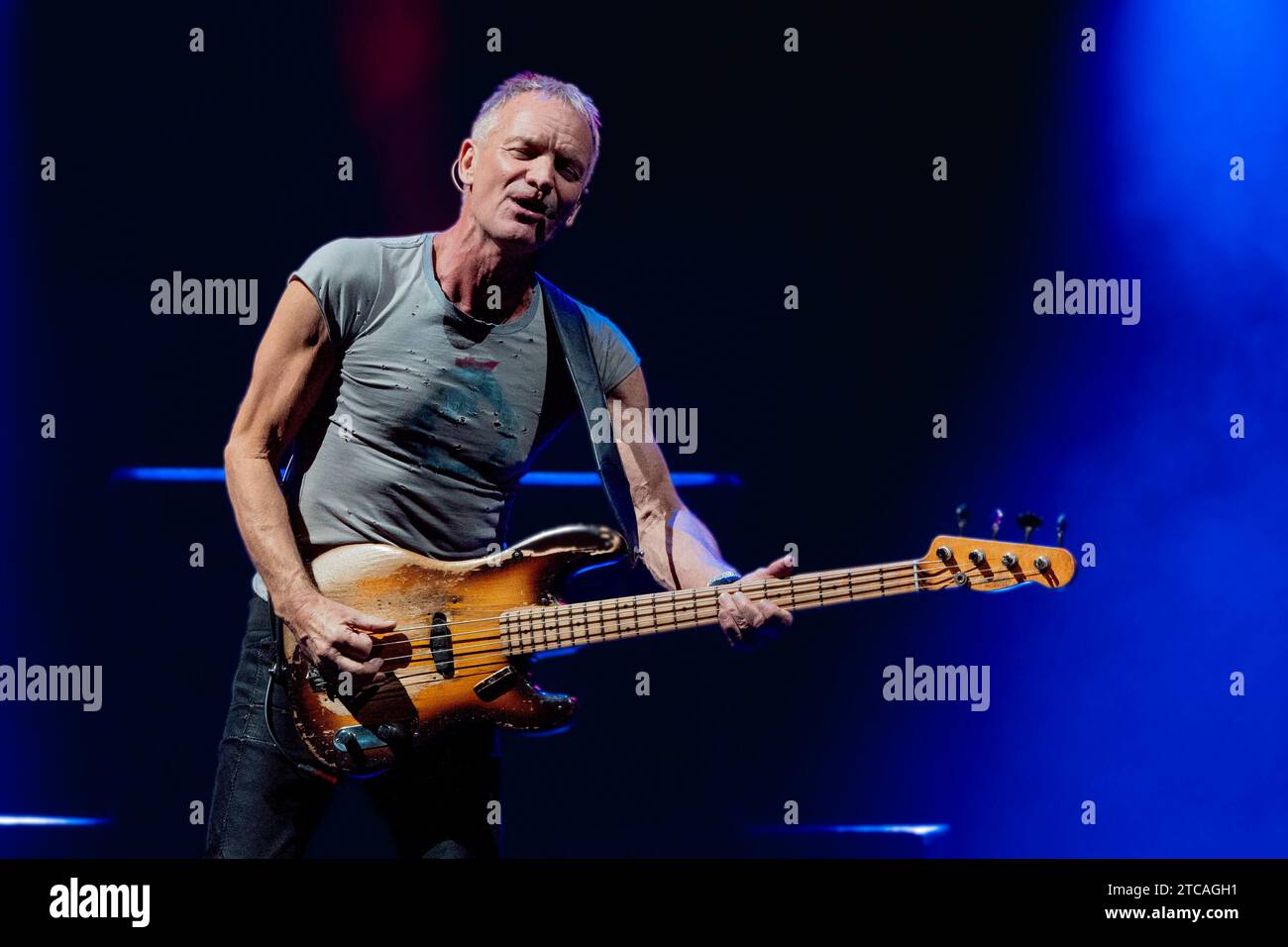 Sting primo piano hi-res stock photography and images - Alamy