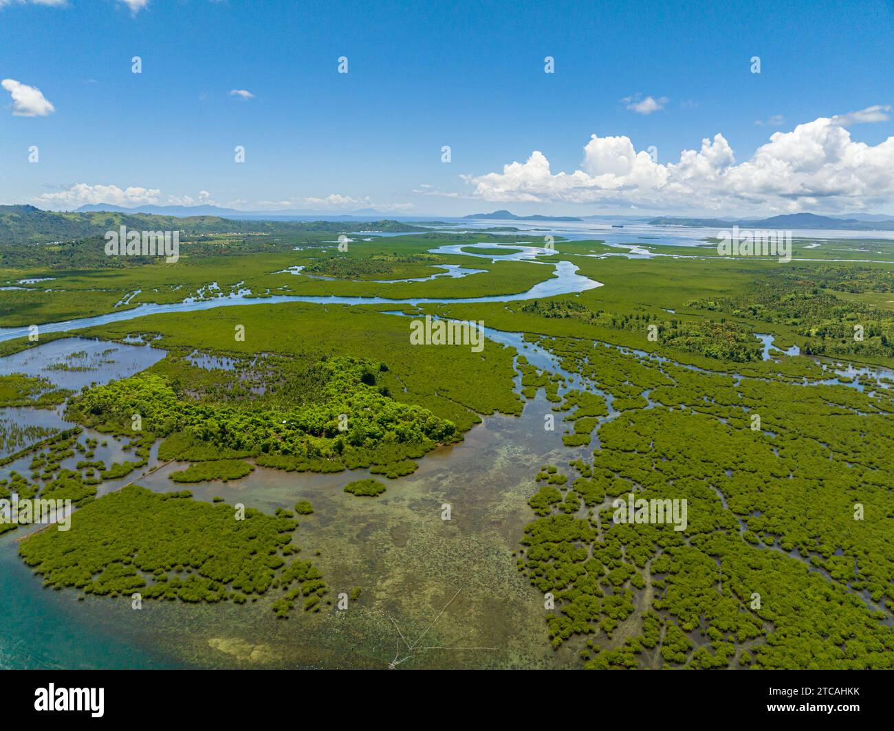 River in tropical mangrove green forests. Mangroves landscape. Mindanao ...