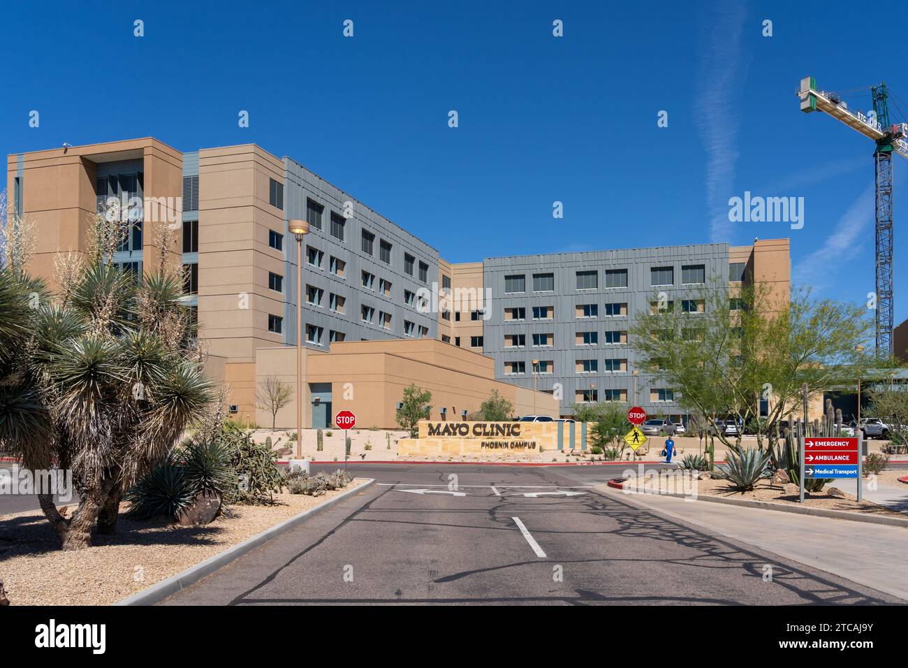 Mayo Clinic Hospital in Phoenix, Arizona, USA Stock Photo - Alamy