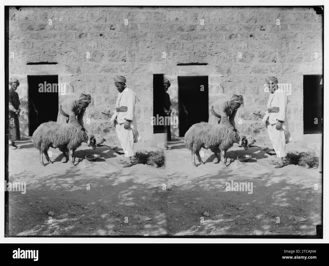 Weli of Budrieh at Sherafat and the preparing of a sacrifice. Watering ...