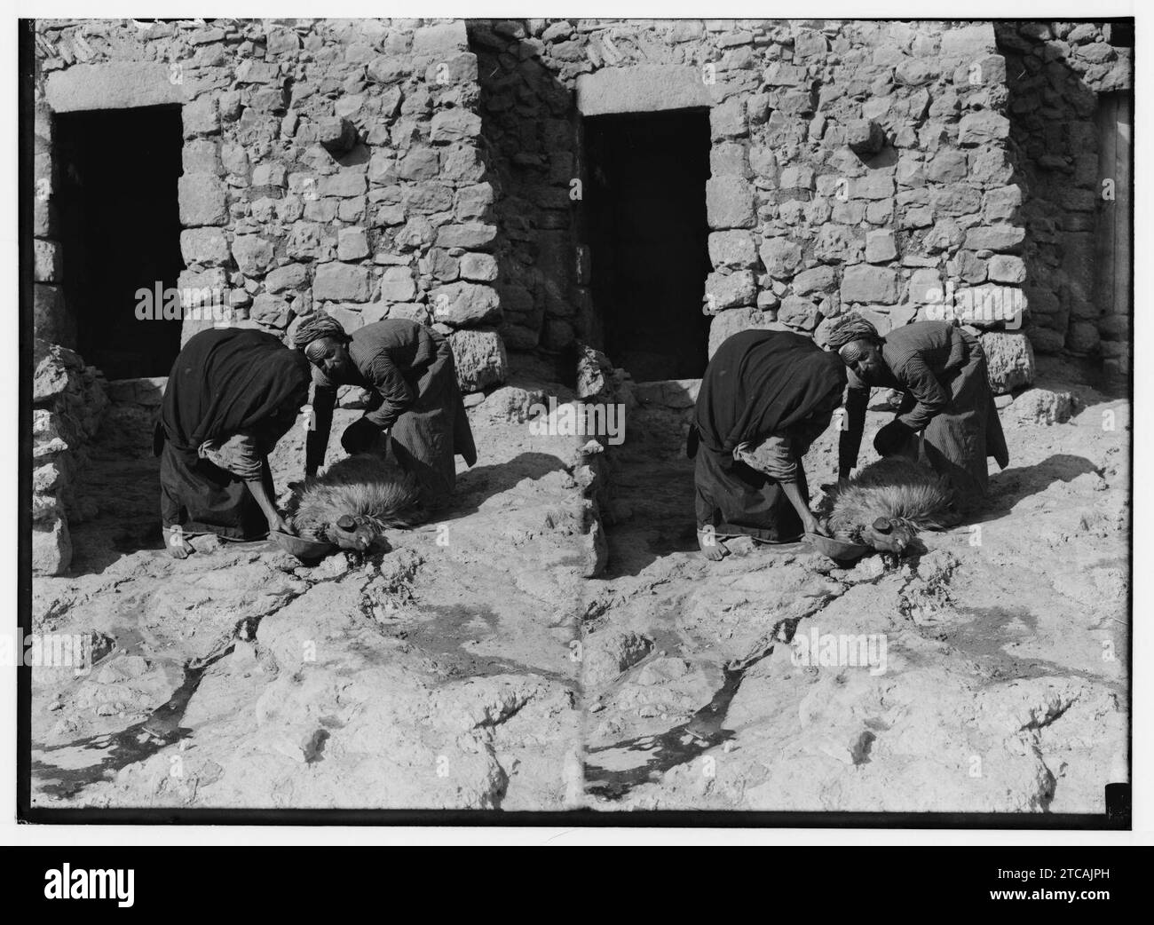 Weli of Budrieh at Sherafat and the preparing of a sacrifice ...