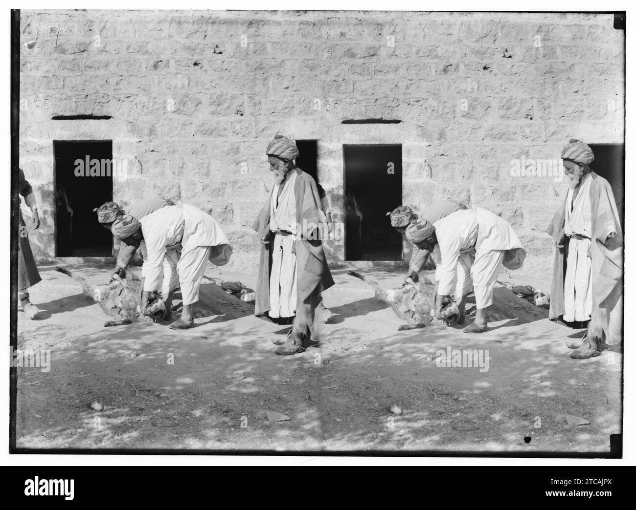 Weli of Budrieh at Sherafat and the preparing of a sacrifice. Skinning ...