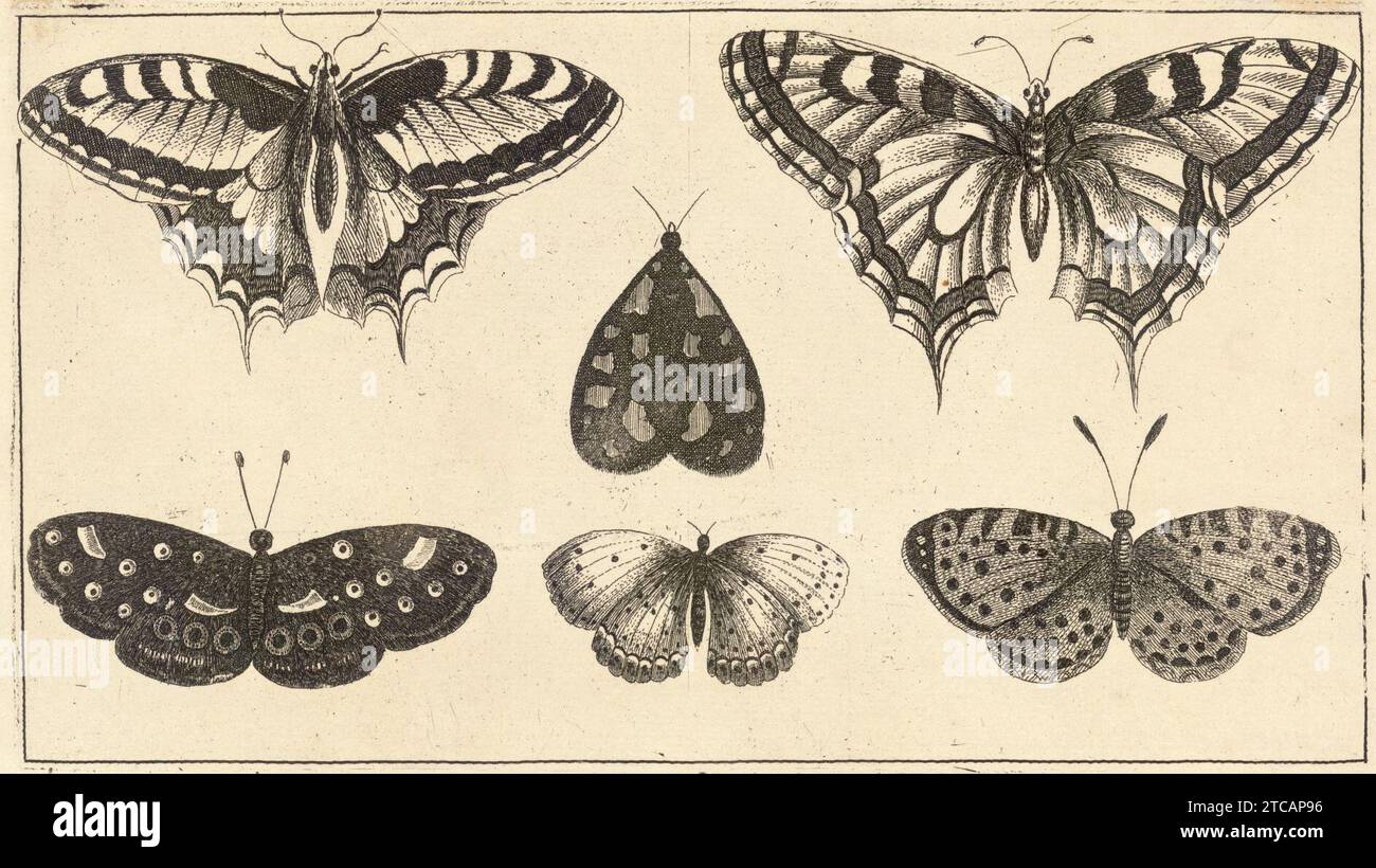 Five butterflies hi-res stock photography and images - Alamy