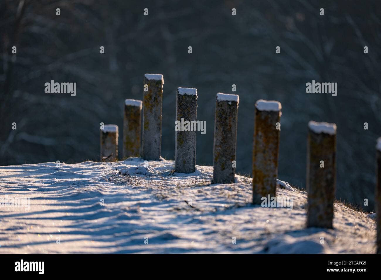 Concrete fence posts hi-res stock photography and images - Alamy