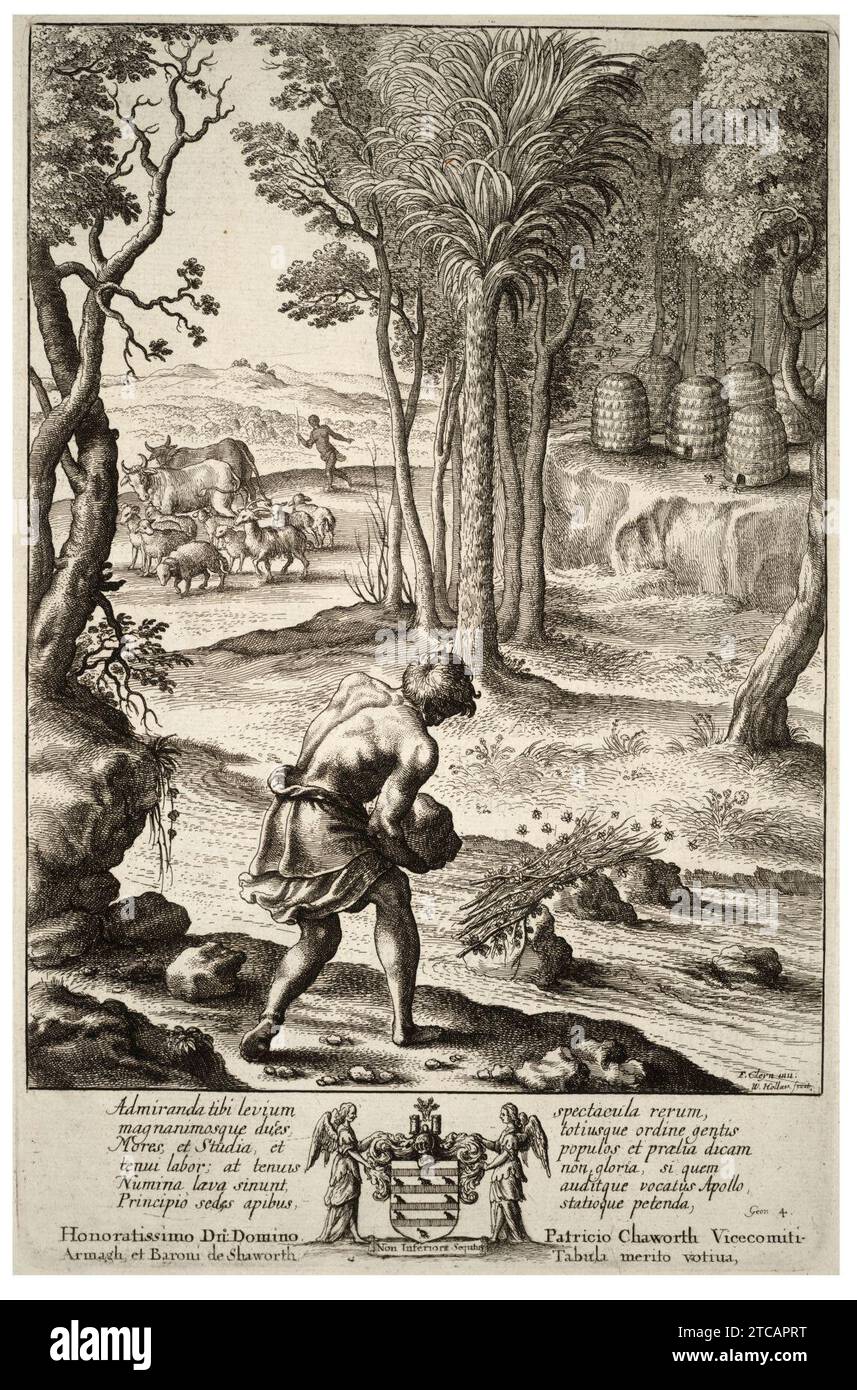 Hiving bees hi-res stock photography and images - Alamy