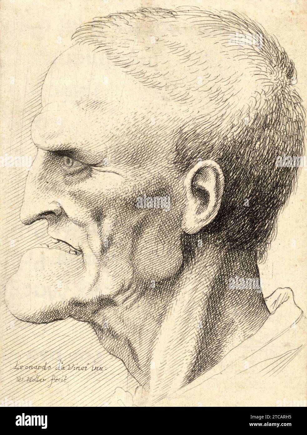 Wenceslas Hollar - Man with prominent chin and missing teeth Stock ...