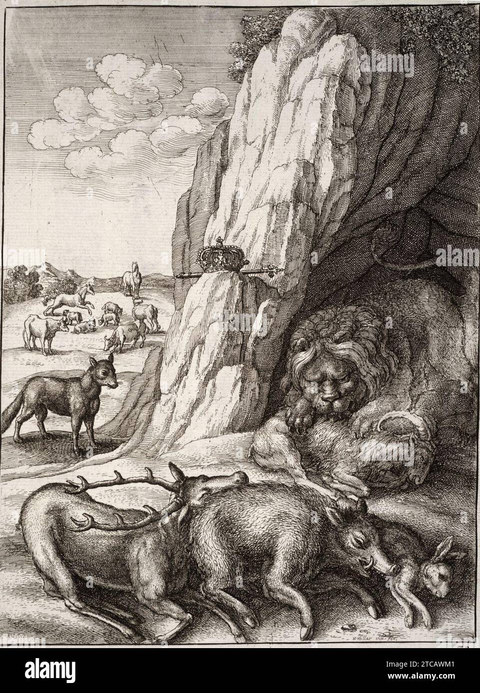 Sick lion hi-res stock photography and images - Alamy