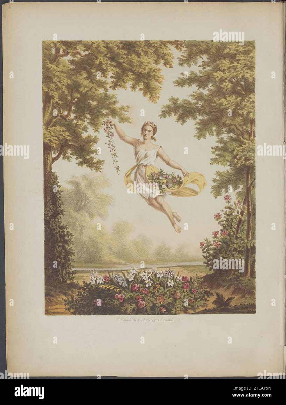Wendel, Abraham Jacobus - Flora, uit H. Witte, Flora. Afbeeldingen en ...