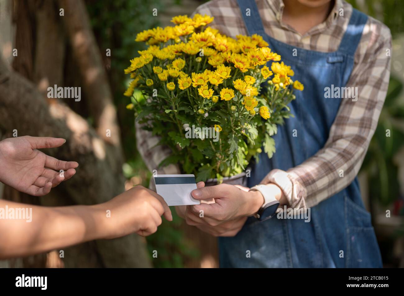 Male hand handing one flower hi-res stock photography and images - Alamy