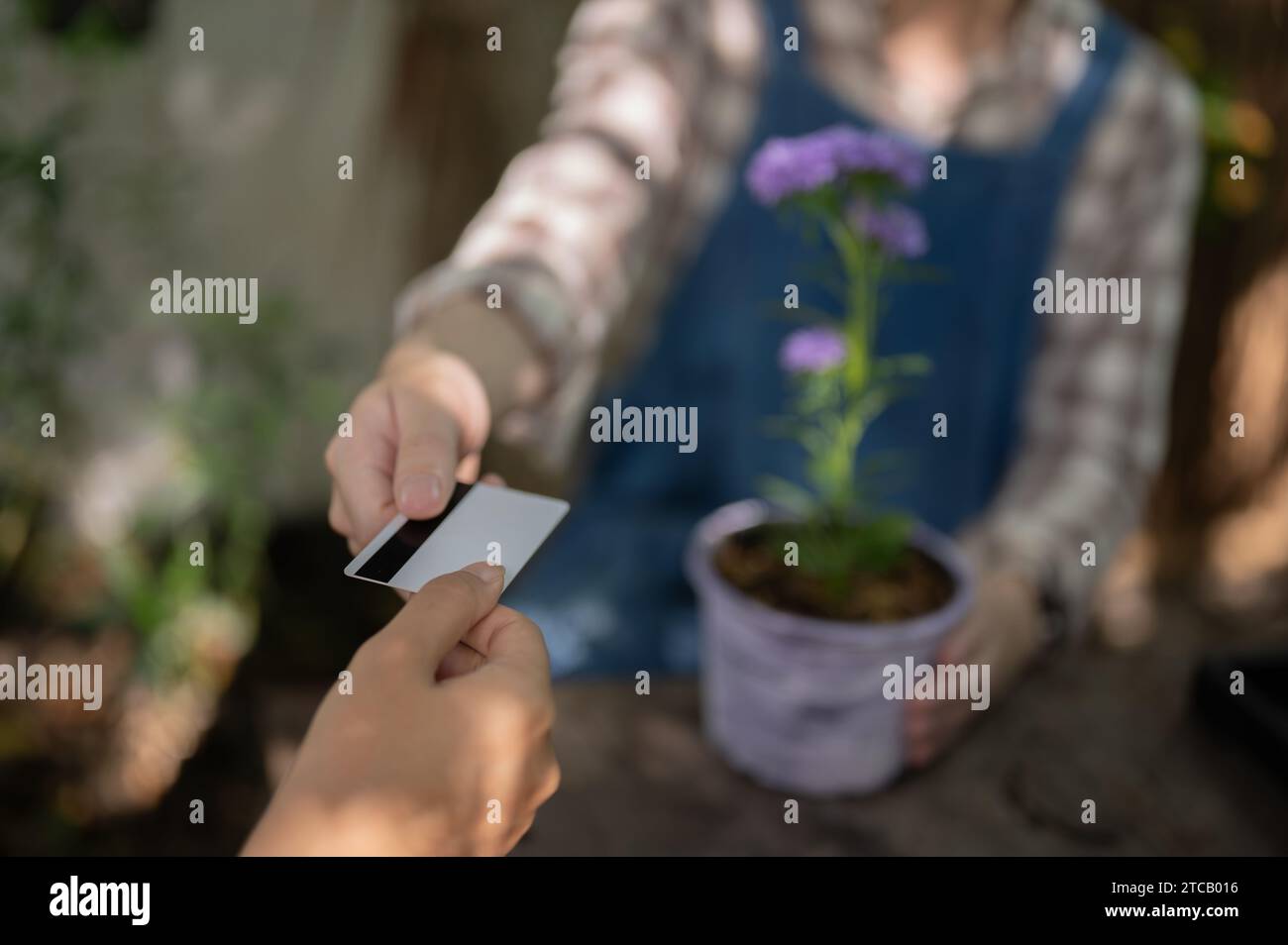 Male hand handing one flower hi-res stock photography and images - Alamy