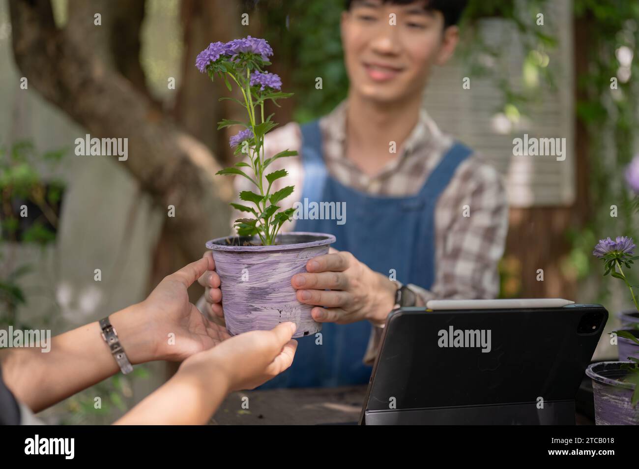 Male hand handing one flower hi-res stock photography and images - Alamy