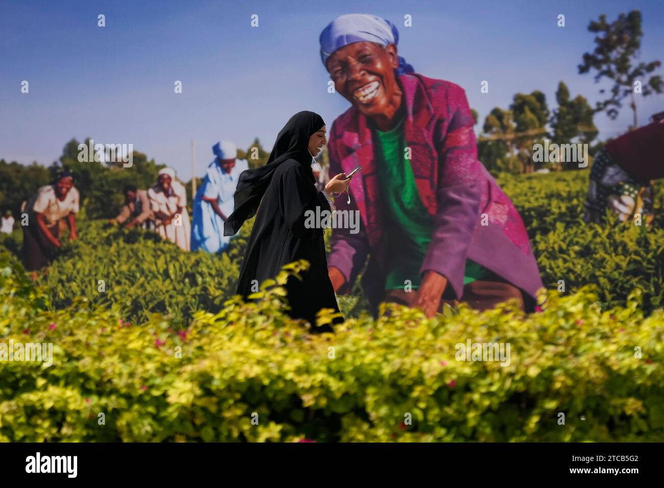 A woman passes a poster ahead of the COP28 U.N. Climate Summit, Nov. 28 ...