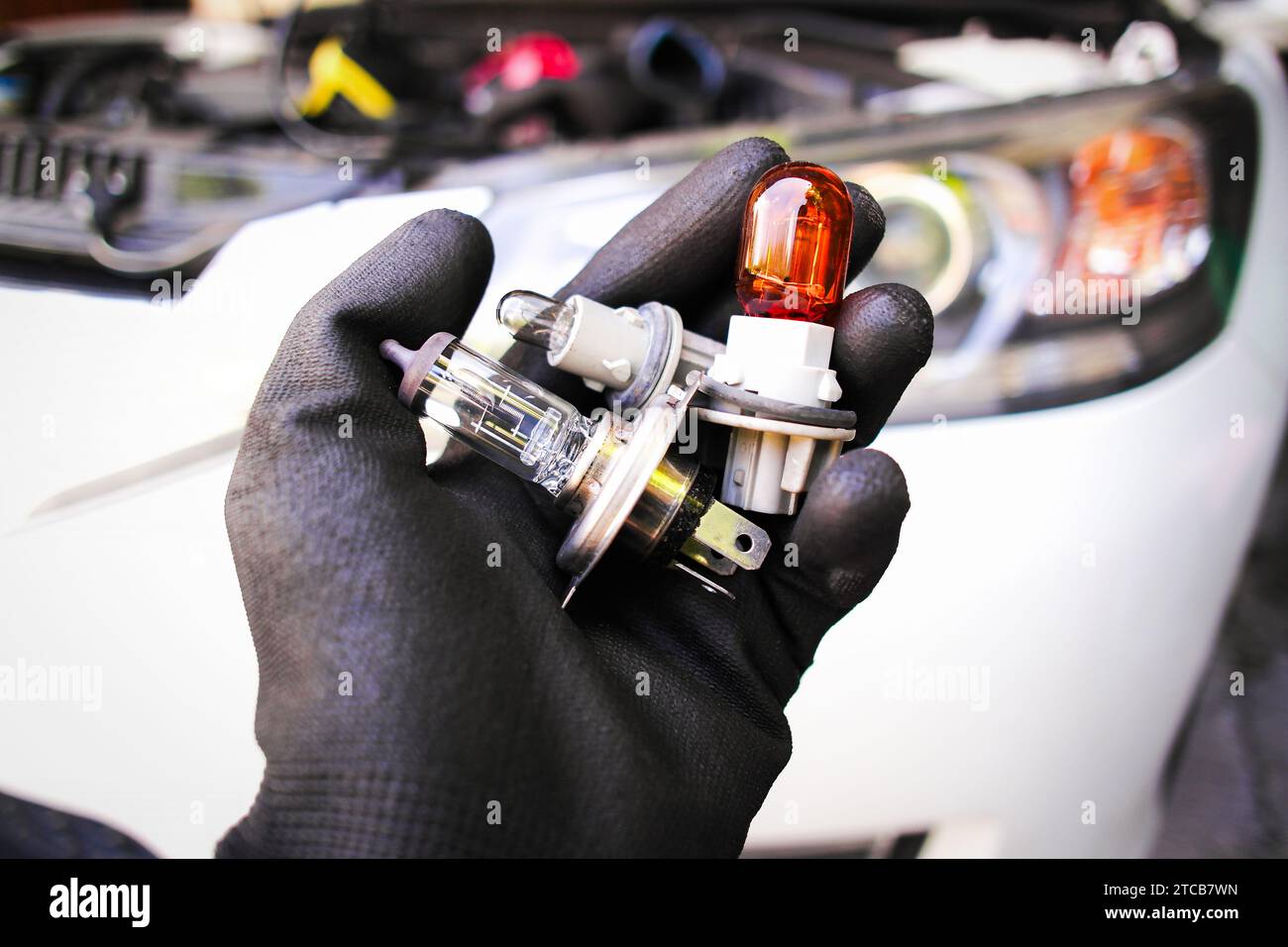 Car halogen bulb of headlight in auto mechanic hand with a car blurred ...