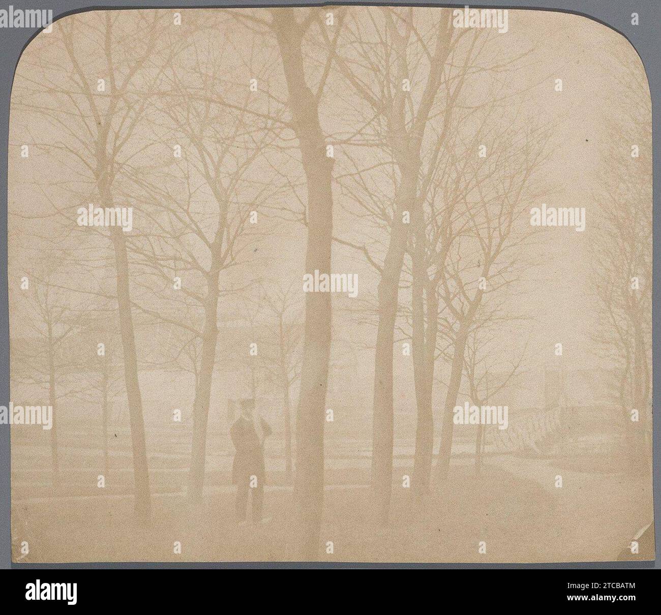 Westerplantsoen, Gezien naar bovenkruier-houtzaagmolen Het Klaverblad ...