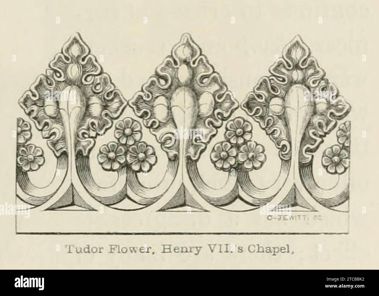Westminster Tudor Flower stylesofarchitec00rick 0323 Stock Photo - Alamy