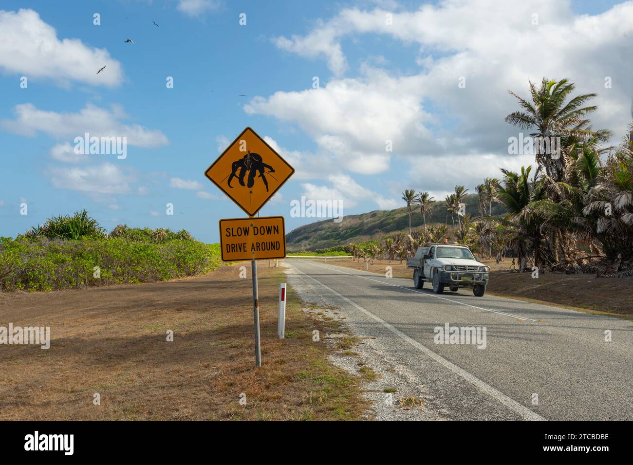 Slow Down road sign warning to drive around robber crabs, Christmas ...