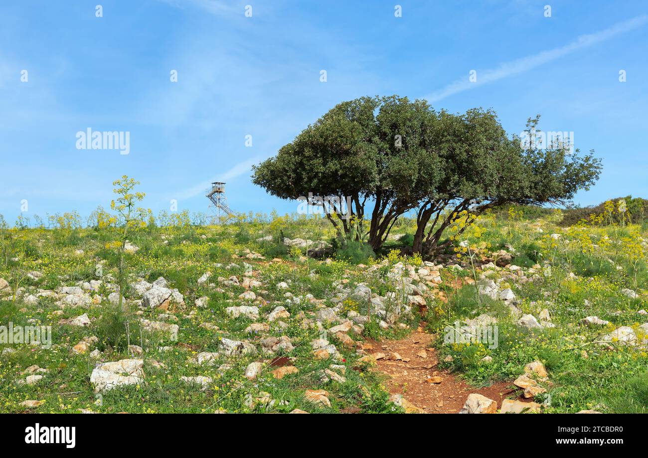 Upper galilee israel hi-res stock photography and images - Alamy