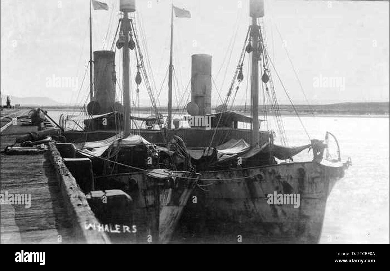 Whaling ships at Port Augusta 1912 Stock Photo - Alamy