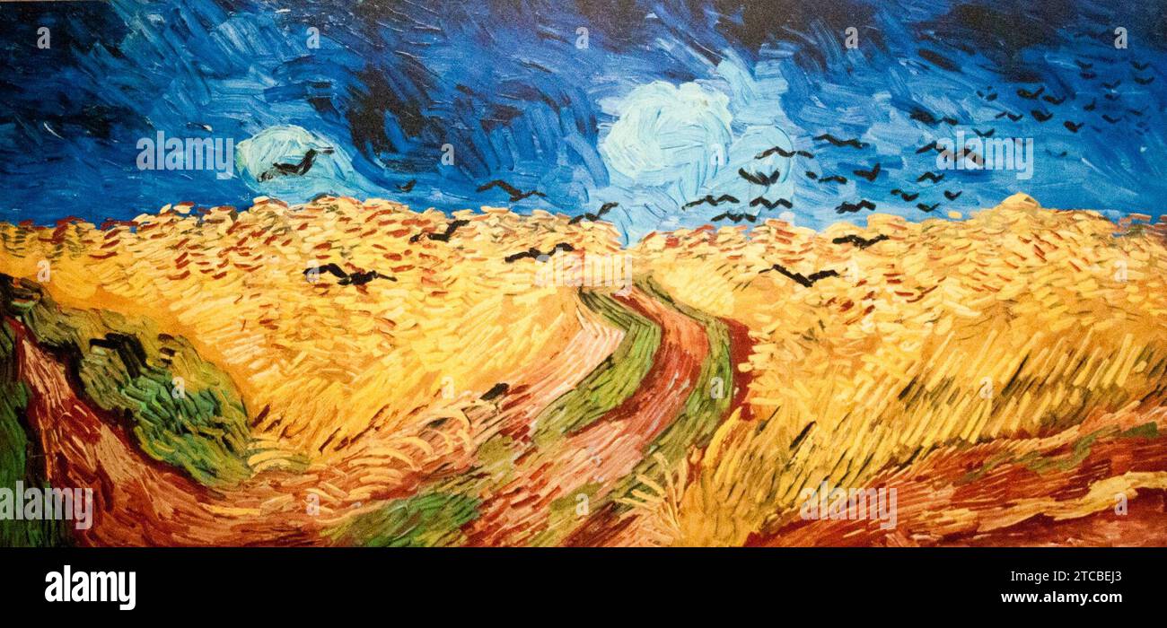 Wheat Field with Crows (JH 2117) - My Dream Stock Photo - Alamy
