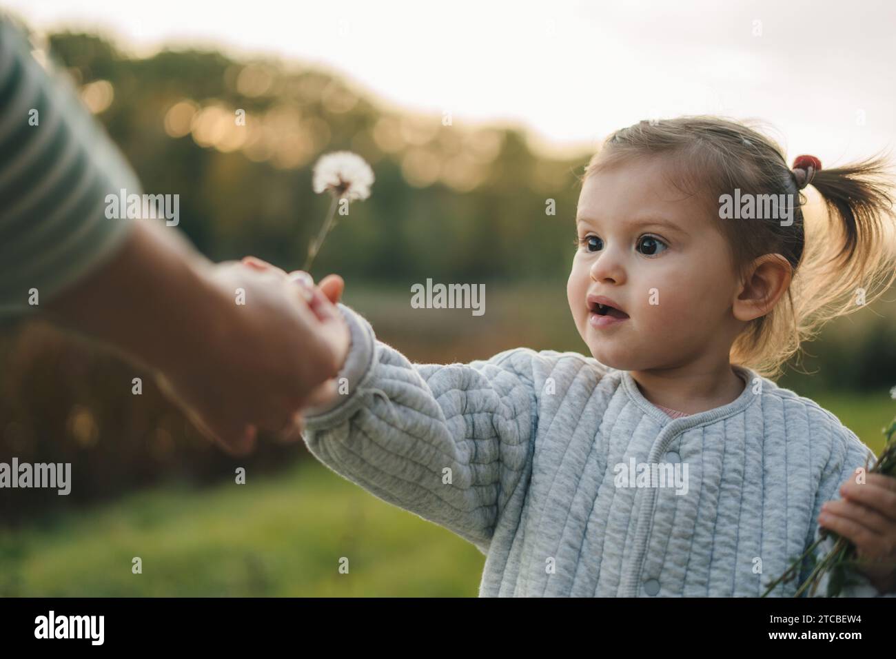 Girl handing flower hi-res stock photography and images - Alamy