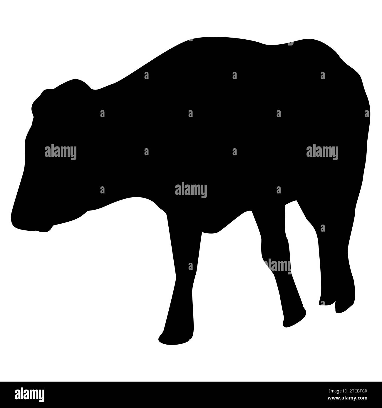 Walking cow silhouette isolated on white background. Cattle vector ...