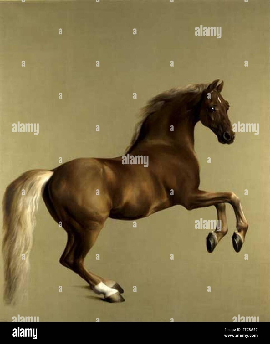 Whistlejacket – stubbs hi-res stock photography and images - Alamy