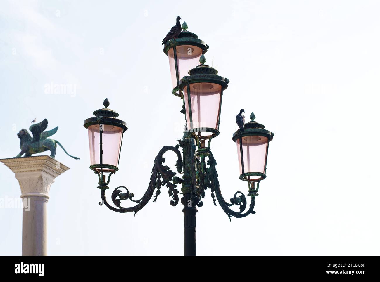 Lantern on the street of Venice. Pink lights of Venice. Four lamps with ...