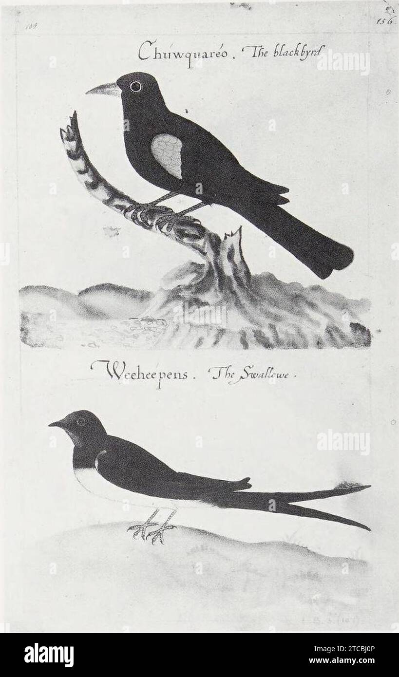 Hulton archive hi-res stock photography and images - Alamy