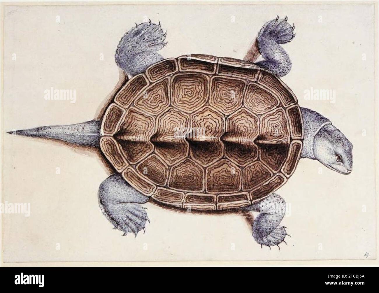 Hulton archive hi-res stock photography and images - Alamy