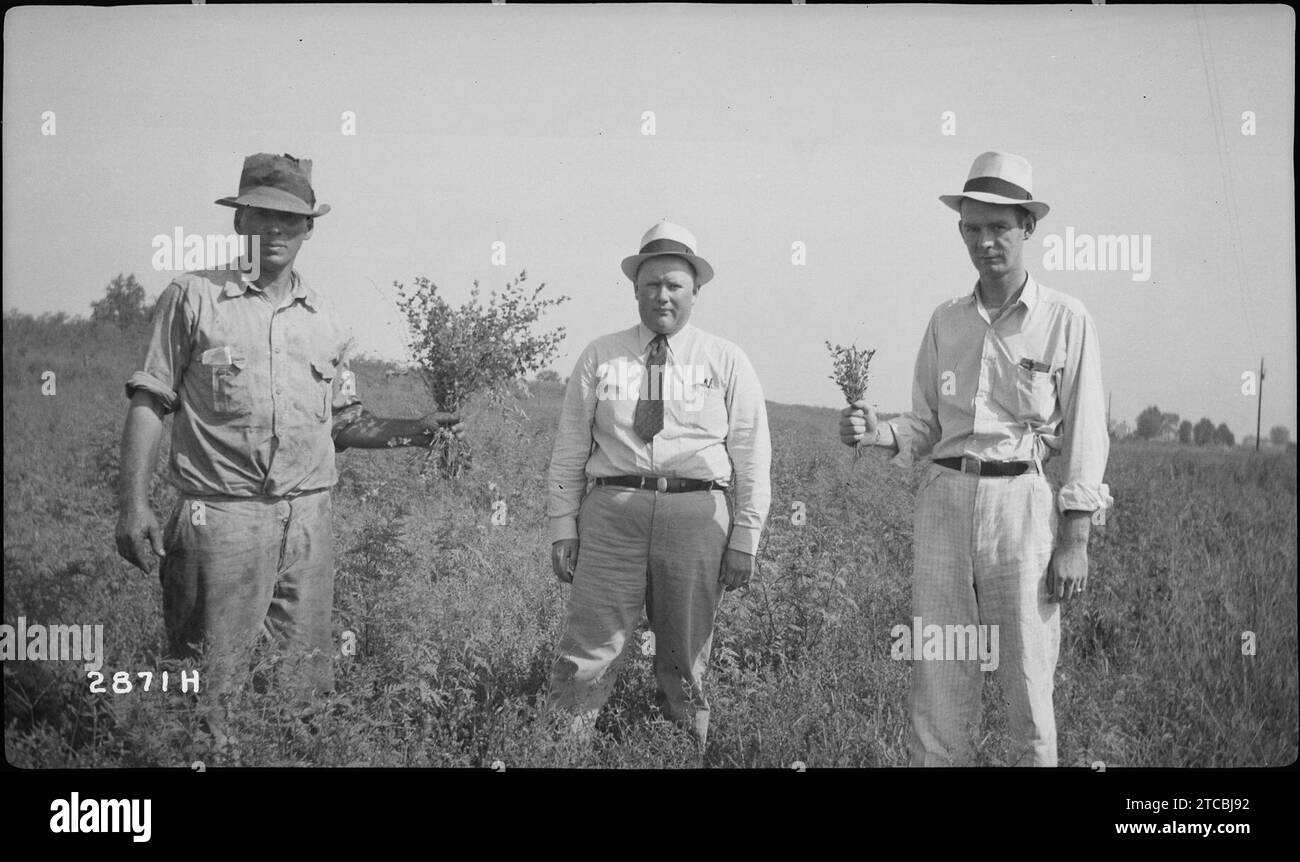 White brothers farm hi-res stock photography and images - Alamy