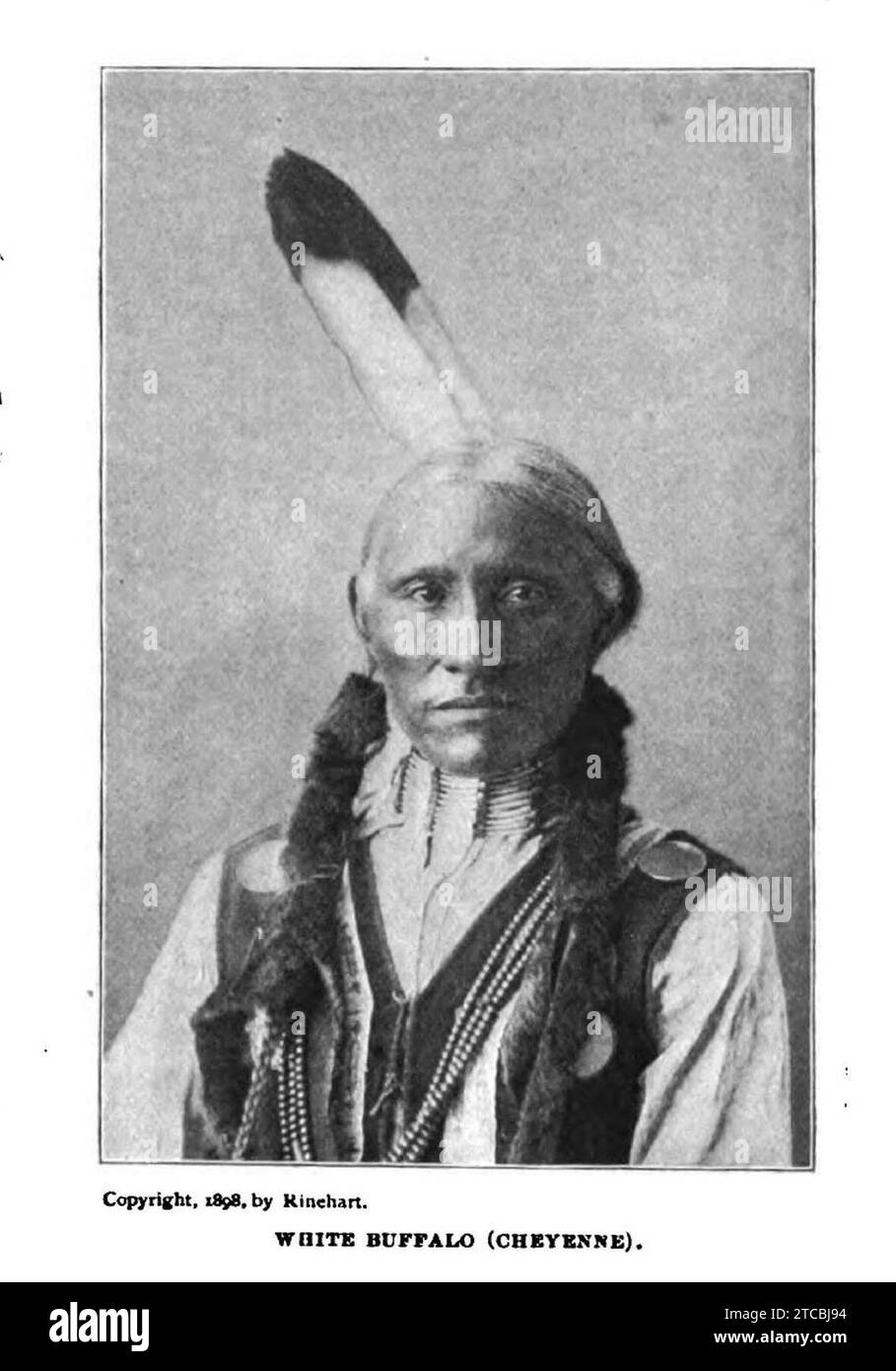 White Buffalo (chief) 001 Stock Photo - Alamy