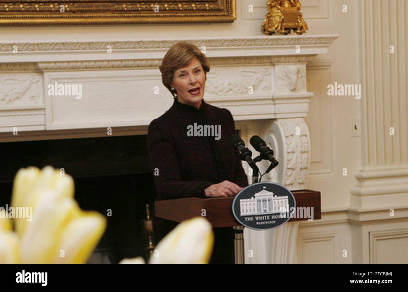 Haft seen hi-res stock photography and images - Alamy