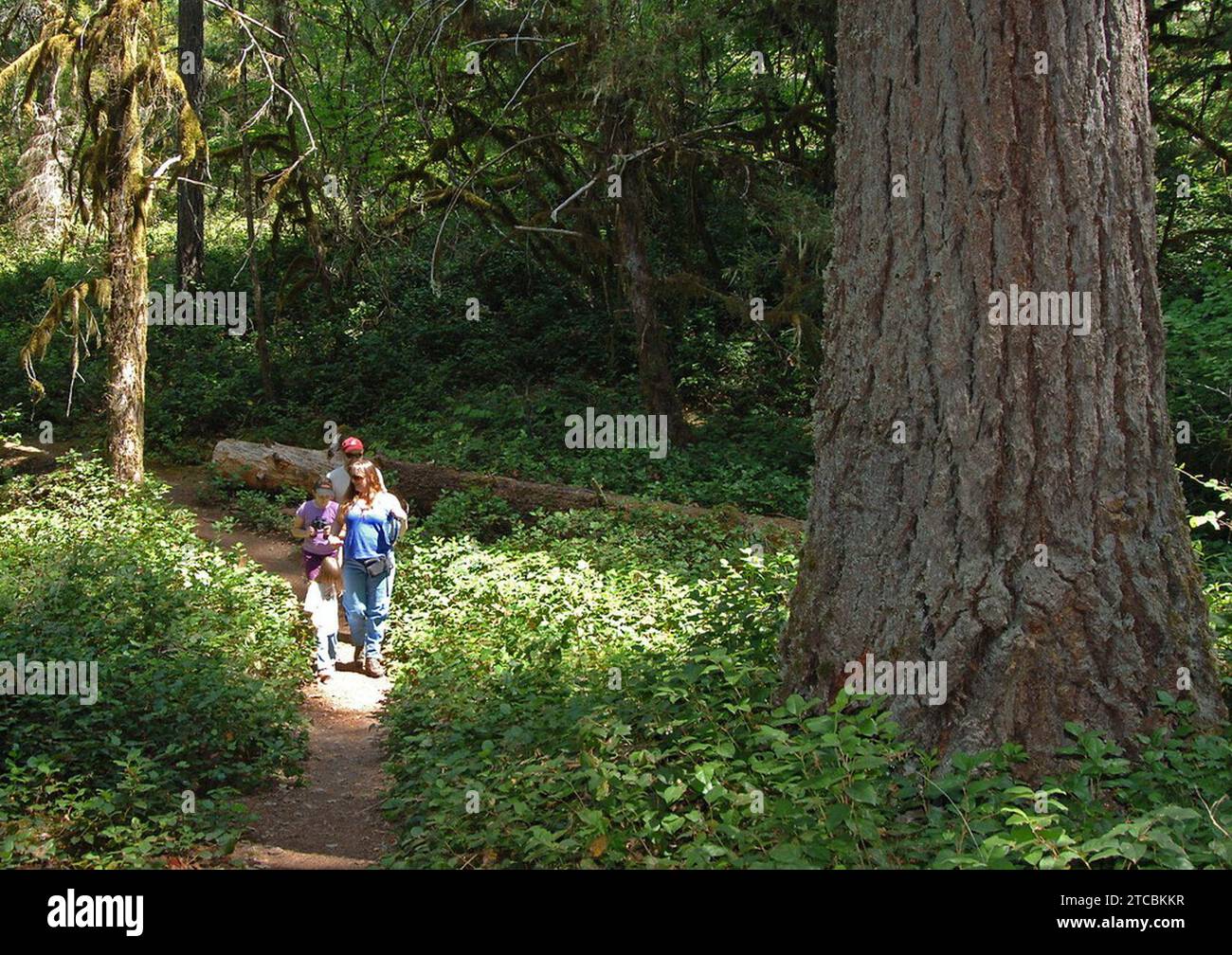 White pass scenic byway hi-res stock photography and images - Alamy